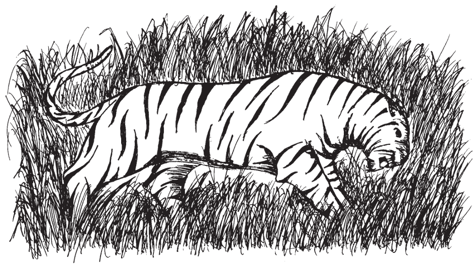 Thrills of Kanha Kisli | Class 8 | Lesson 2 | Exercises Question Answer | MPBSE - BoardEducation